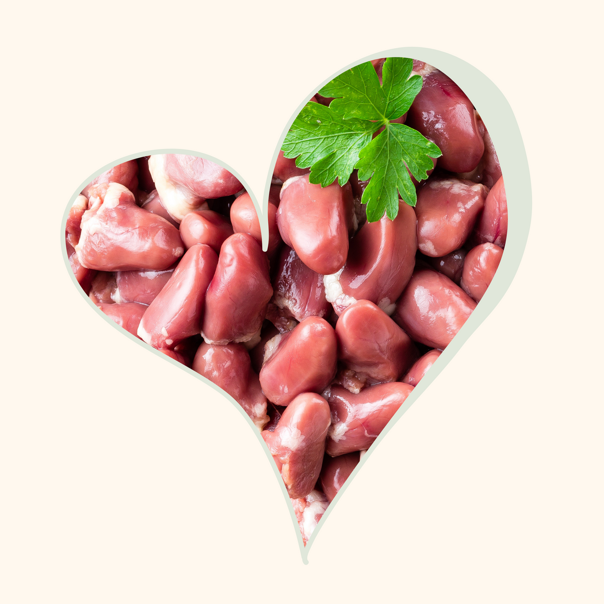 All about Hearts – Doggo Hearts Toronto