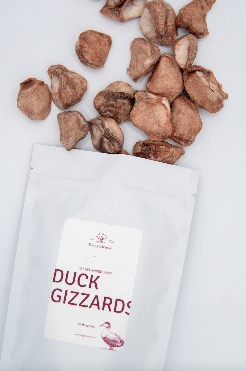 Freeze-Dried Duck Gizzards – Doggo Hearts