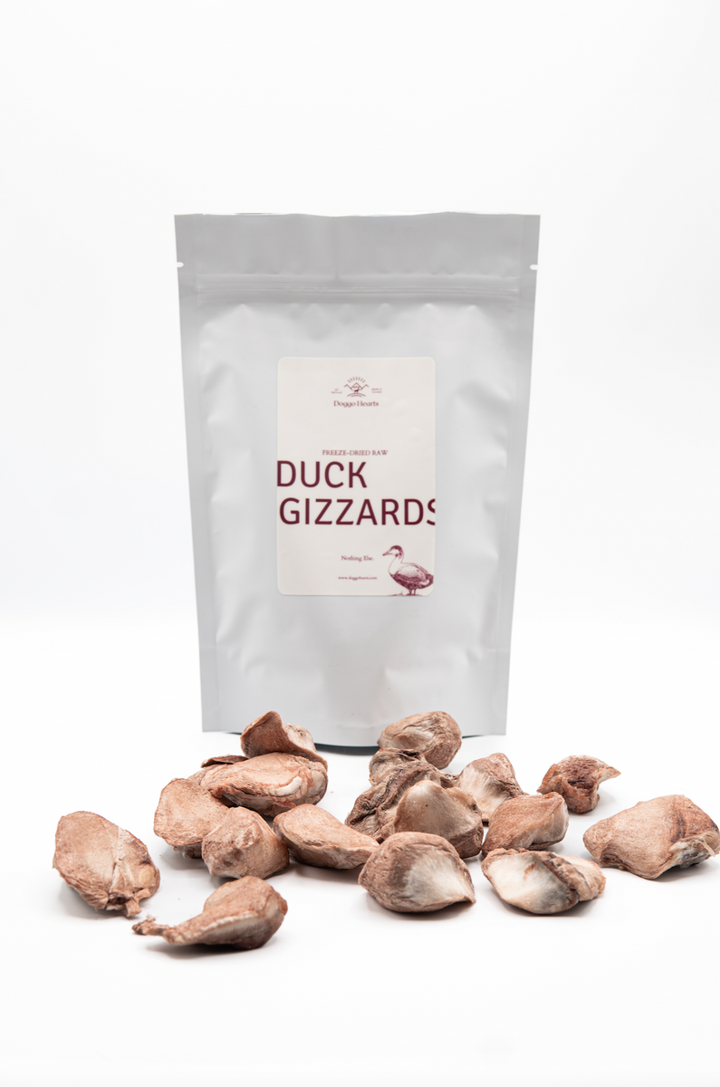 Freeze-Dried Duck Gizzards – Doggo Hearts